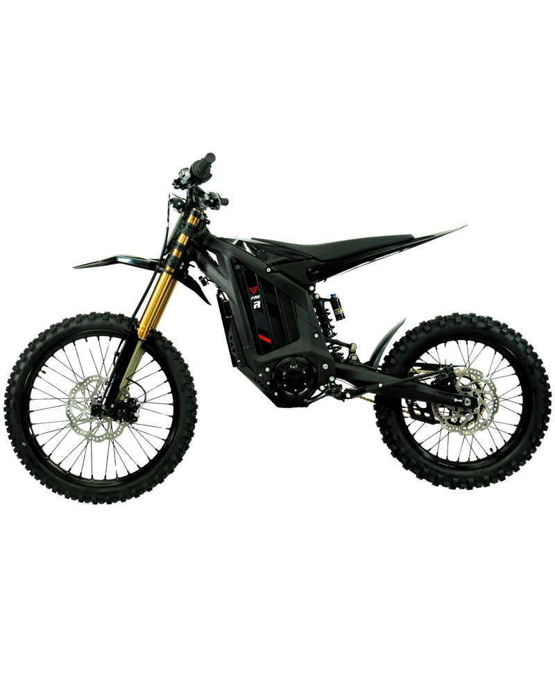 Electro & Co The Rizzler Electric Bike